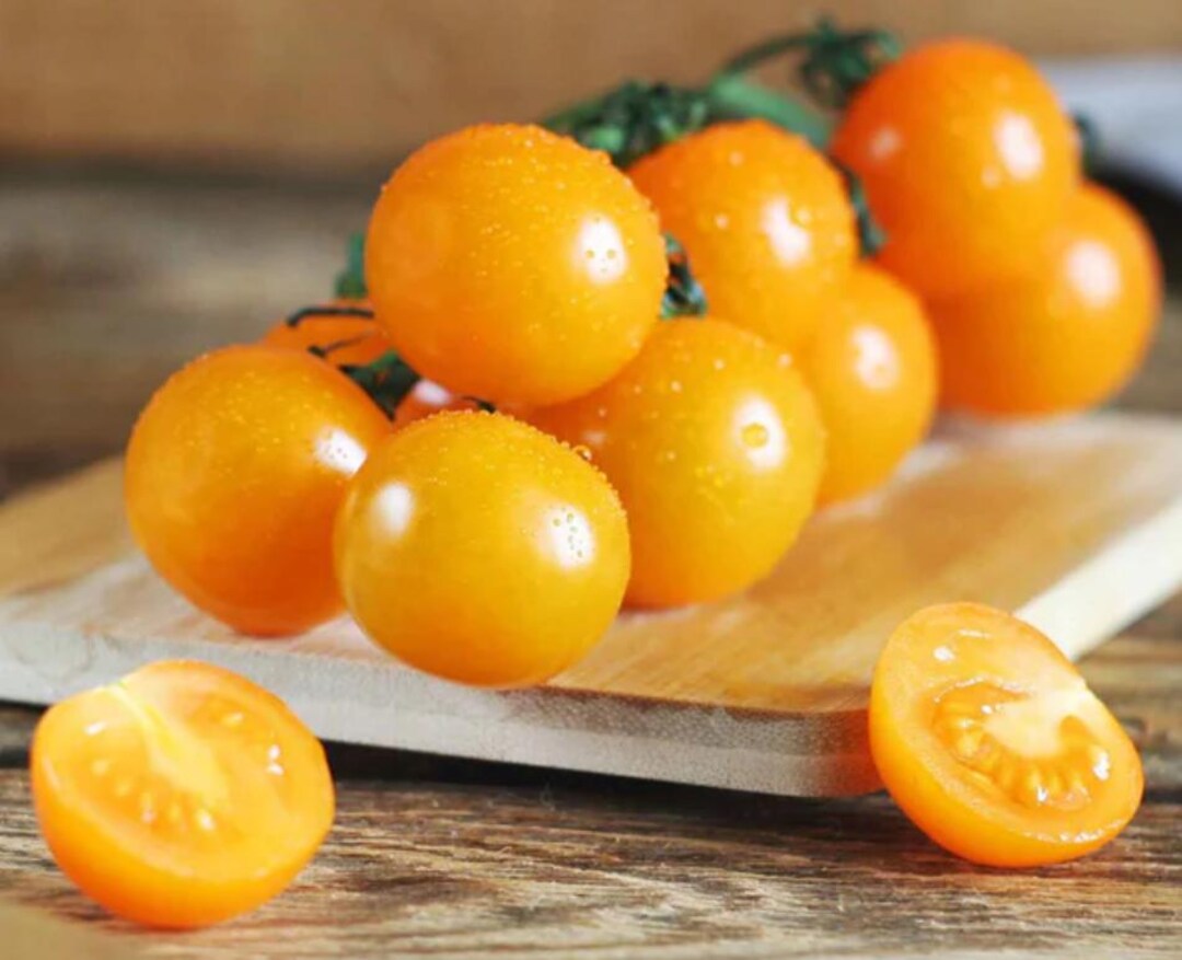 2024 Sun Gold Tomato, Sunburst, Sun Sugar, Candy Sweetness, Orange ...
