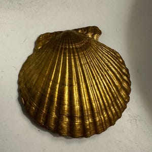 Beautiful Scallop Shell Decoupage Designs - Etsy