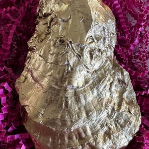 Handcrafted Oyster Shell Trinket Dish – Coastal Crab & Coral Design ...
