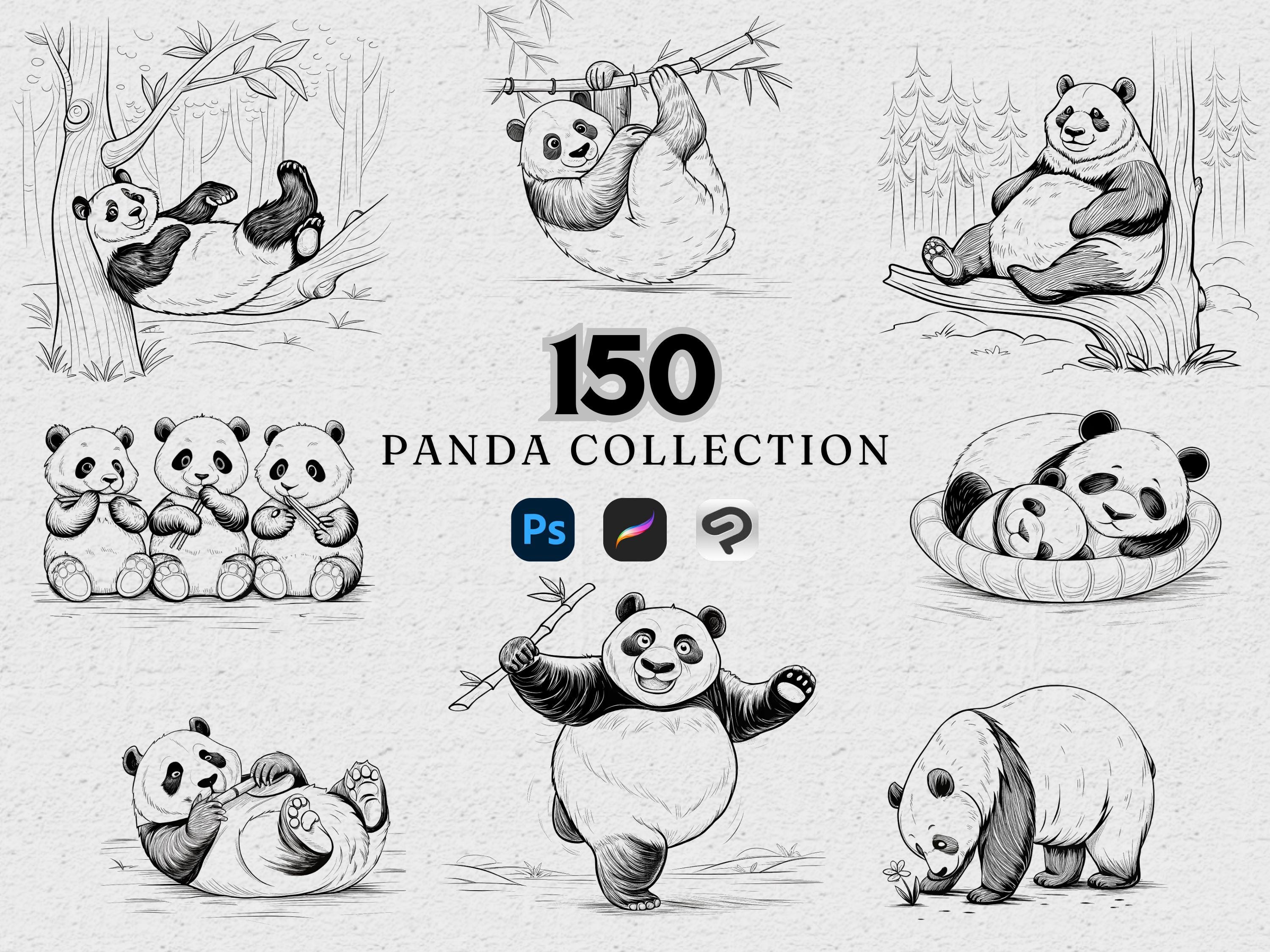 150 Panda Procreate Brushes - Adorable Collection for Panda-themed ...