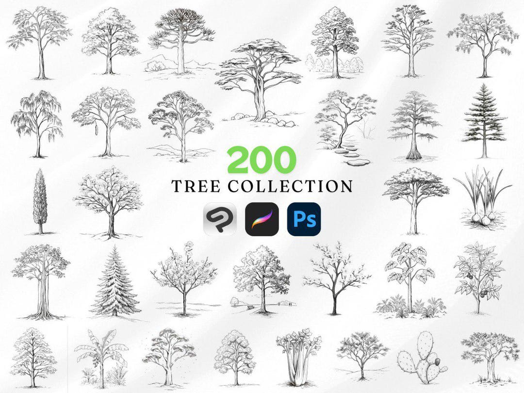 200 Tree Procreate Brushes Complete Collection for Nature Inspired ...
