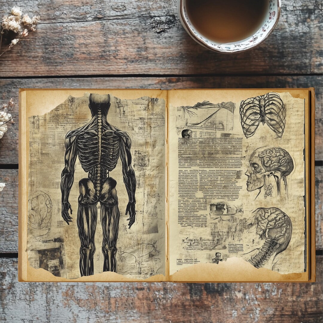 The Doctor's Forbidden Anatomy Junk Journal Pages | Vintage Medical ...