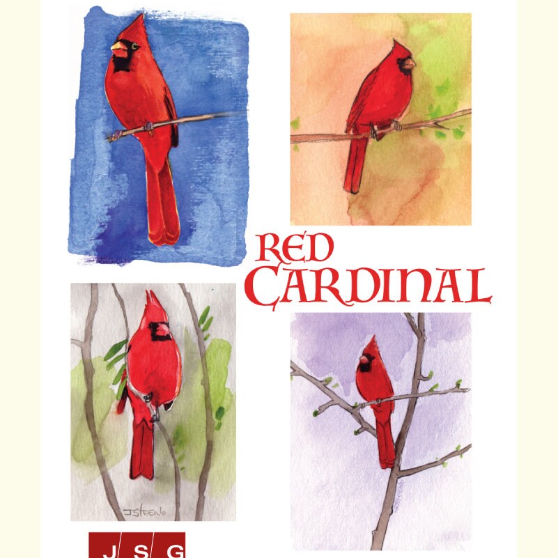 Red Cardinal Watercolor Note Card Set of 4 Greeting Cards by James ...