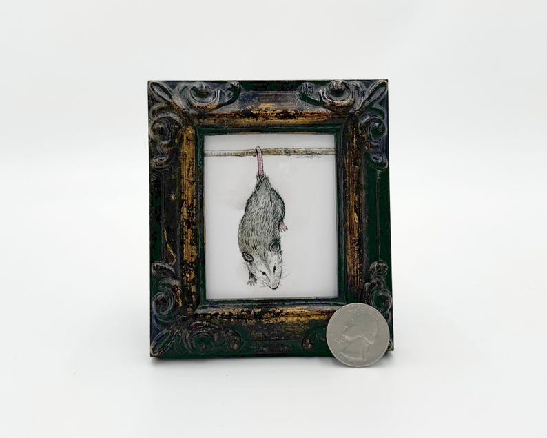 Opossum Framed Miniature Watercolor Art Print by James Steeno Mini Art ...