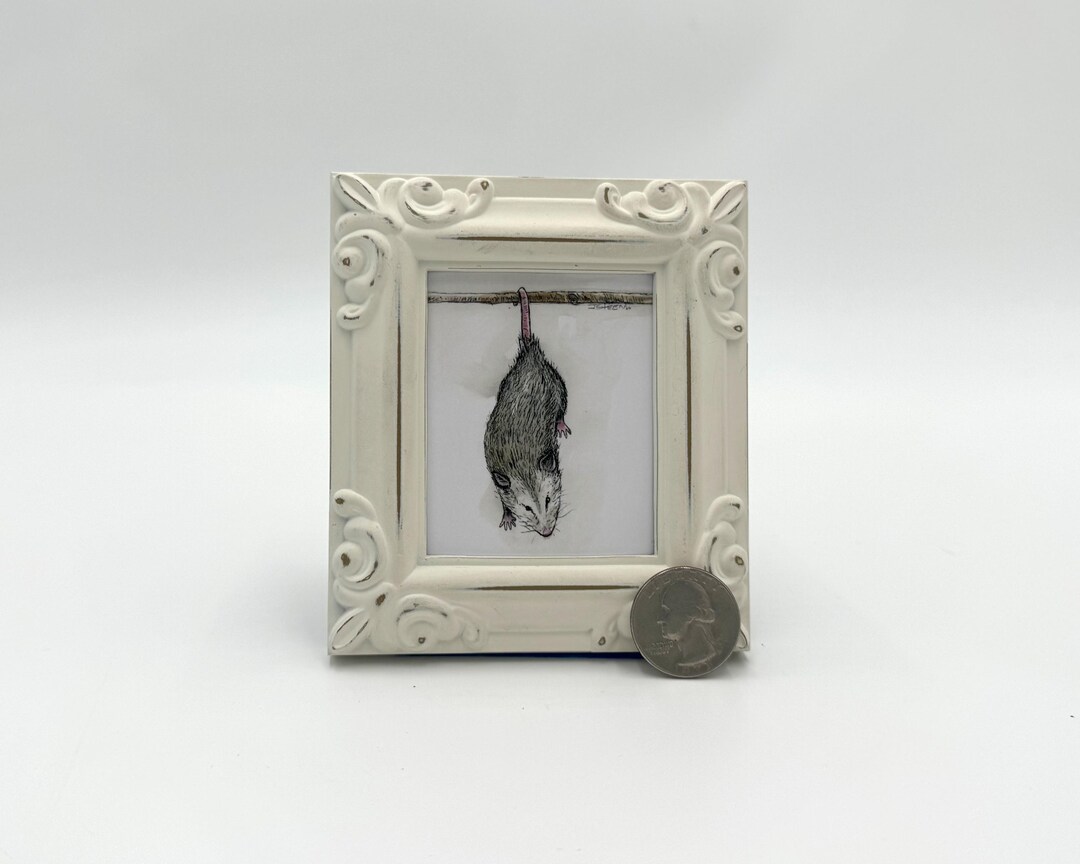 Opossum Framed Miniature Watercolor Art Print by James Steeno Mini Art ...