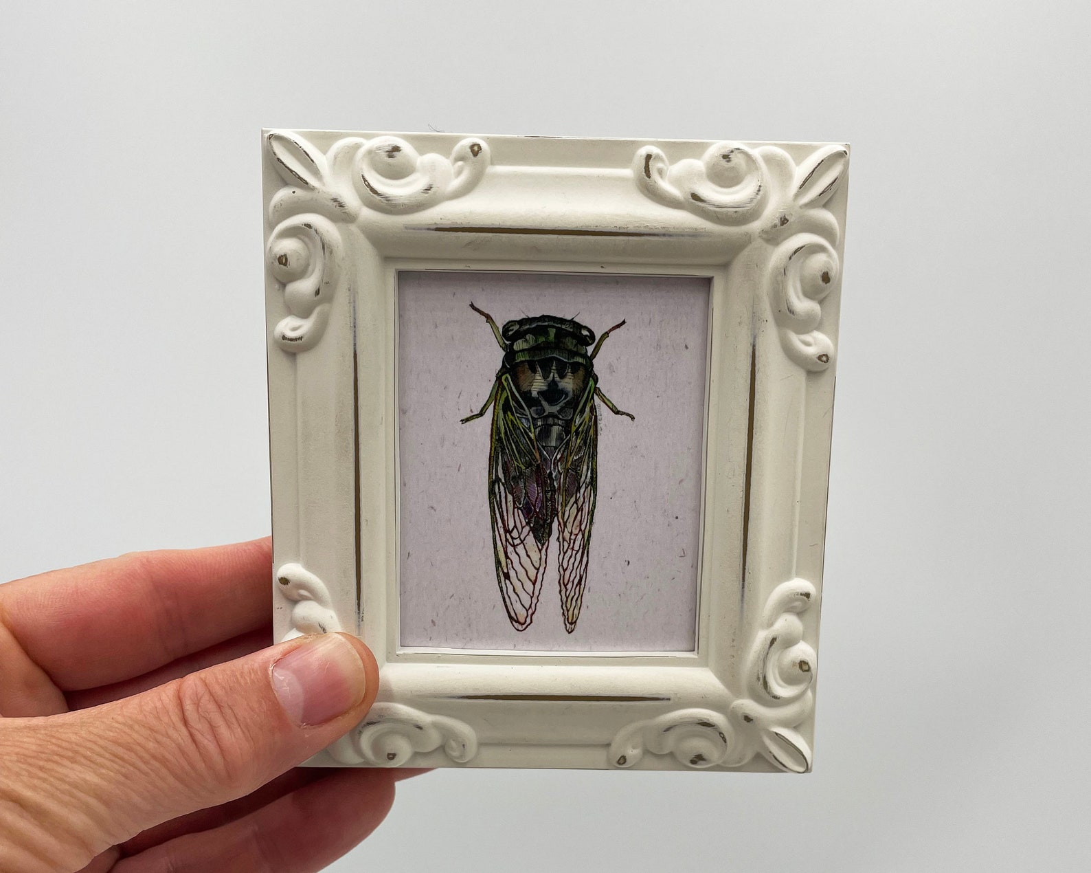 Cicada Framed Miniature Watercolor Art Print by James Steeno Mini Art ...