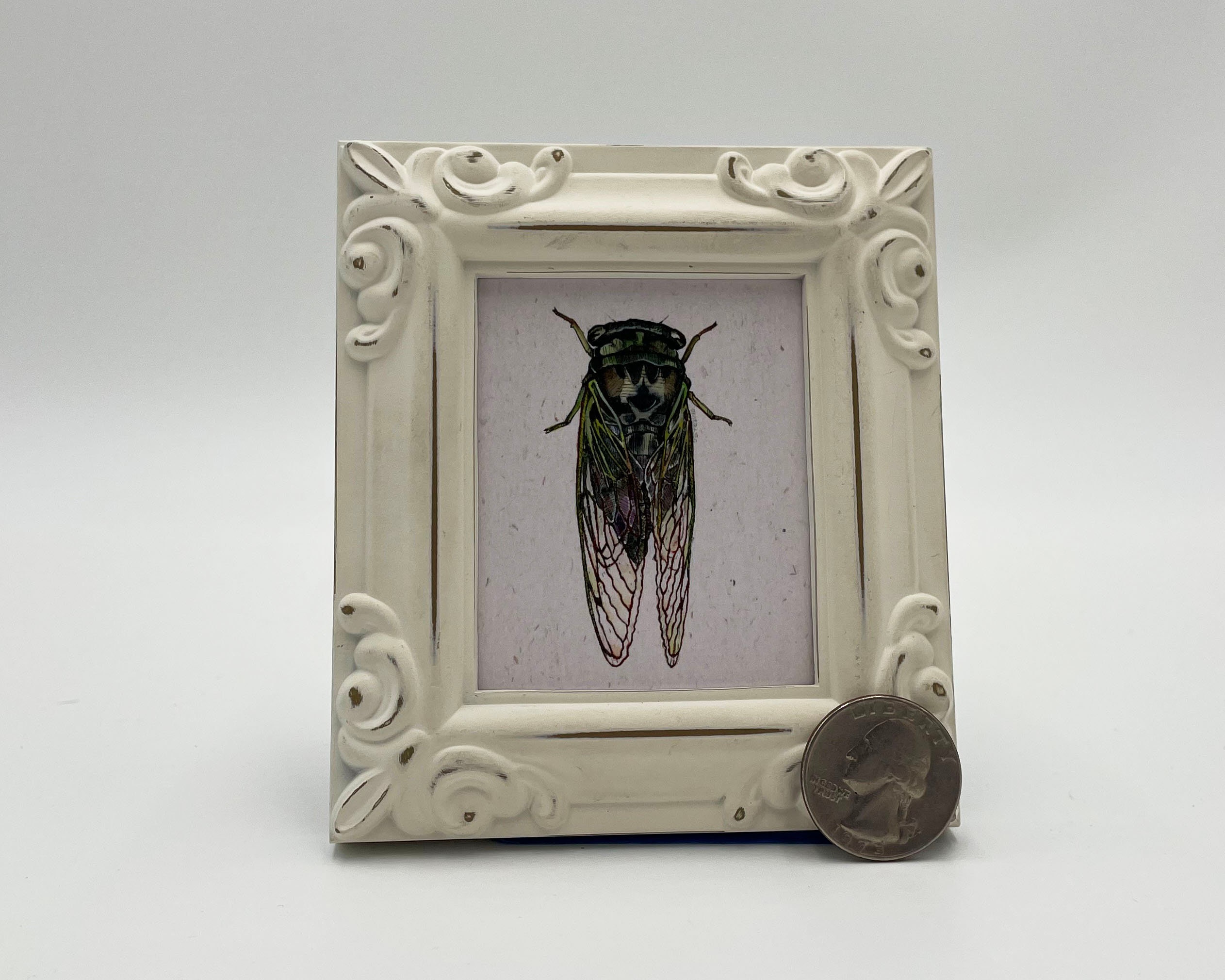 Cicada Framed Miniature Watercolor Art Print by James Steeno Mini Art ...