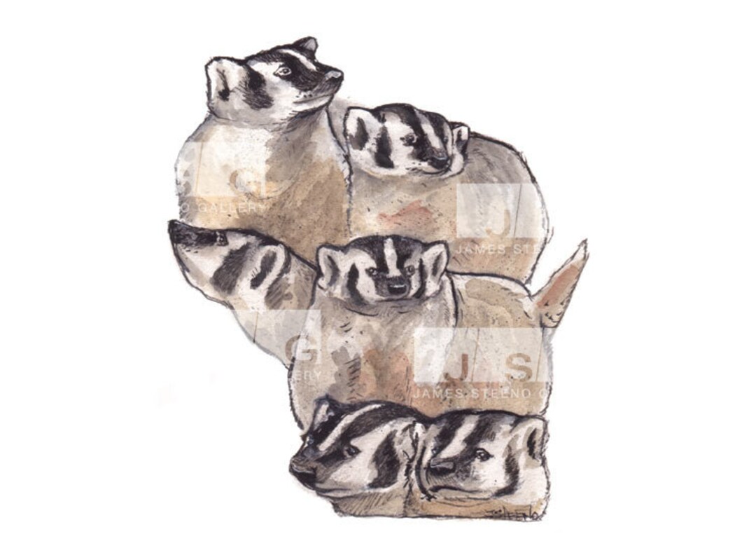 The Badger State Wisconsin Illustrated Art Print by James Steeno - Etsy