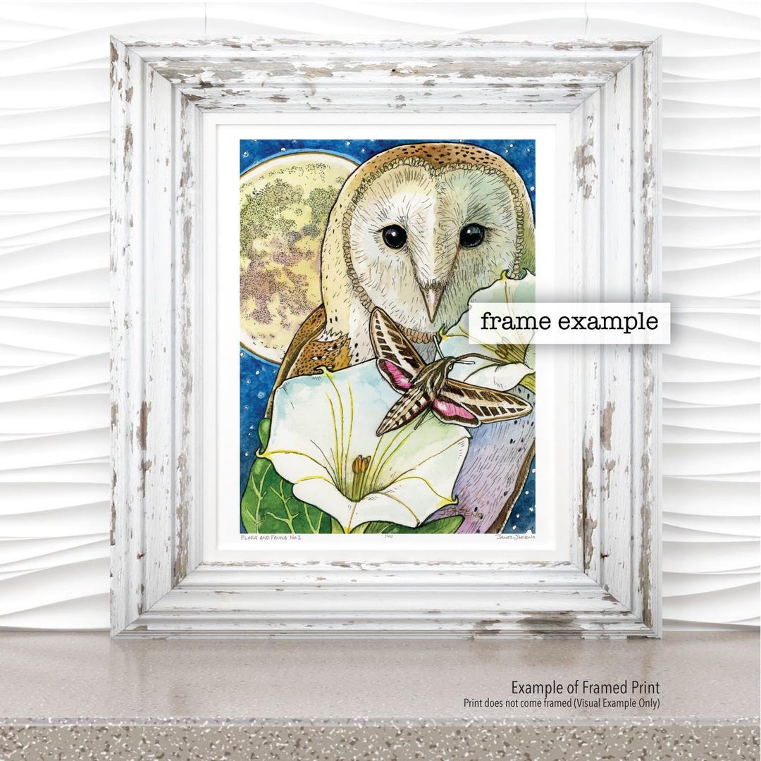 Flora and Fauna No. 2 Pen/ink & Watercolor Art Print by James Steeno ...