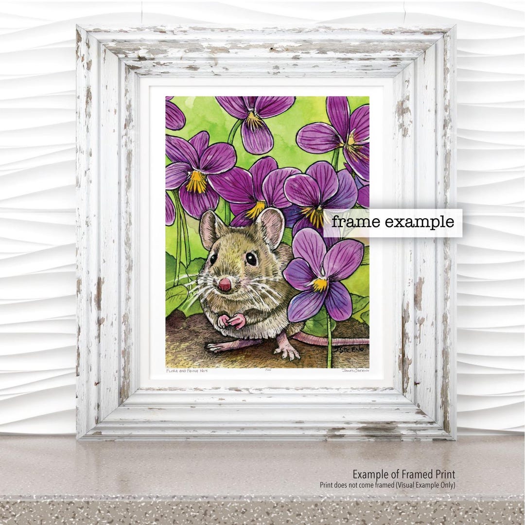 Flora and Fauna No. 4 Pen/ink & Watercolor Art Print by James Steeno ...