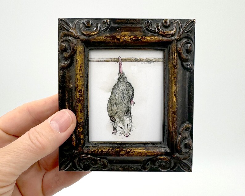 Opossum Framed Miniature Watercolor Art Print by James Steeno Mini Art ...