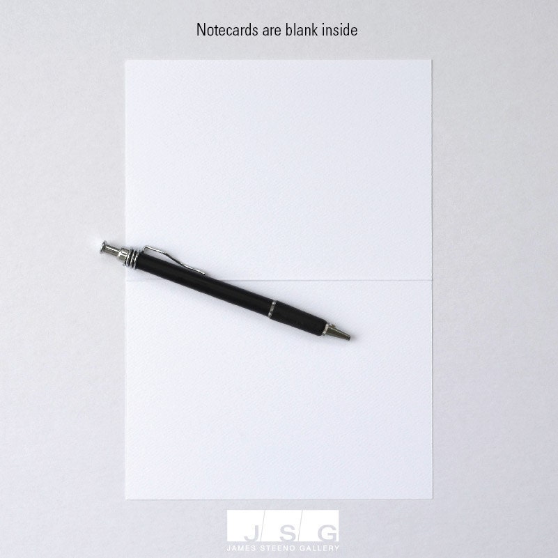 Red Cardinal Watercolor Note Card Set of 4 Greeting Cards by | Etsy