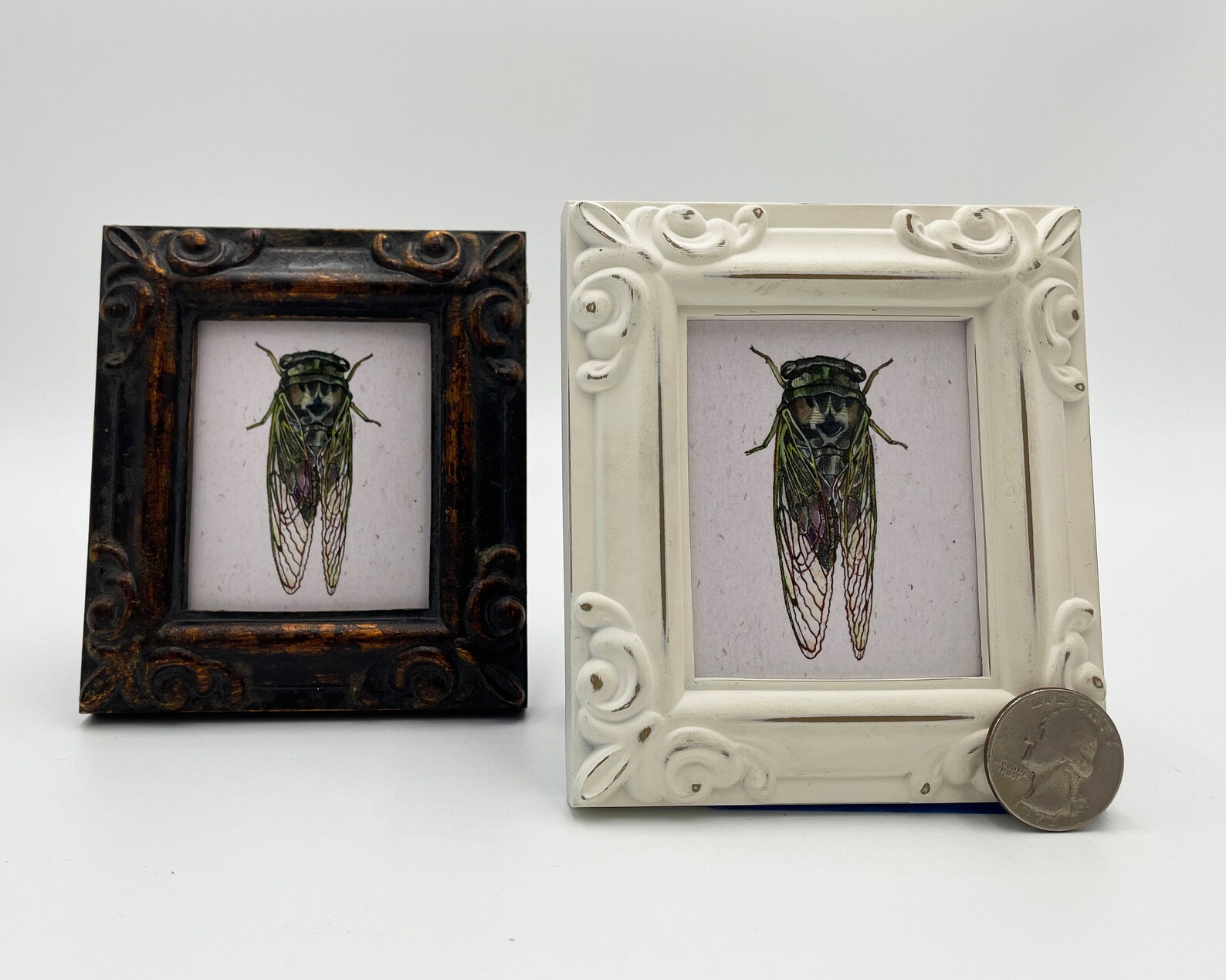Cicada Framed Miniature Watercolor Art Print by James Steeno Mini Art ...