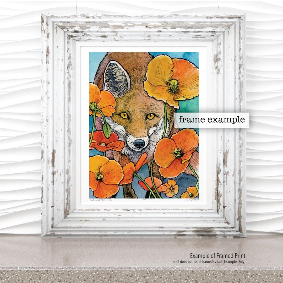 Flora and Fauna No. 3 Fox and Poppies Pen/ink & Watercolor Art Print by ...