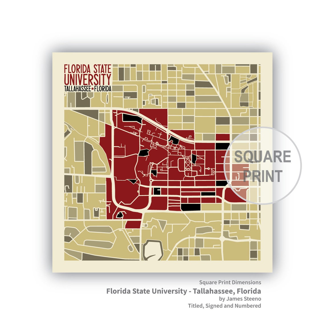 Florida State University Tallahassee Florida Campus Art Map | Etsy