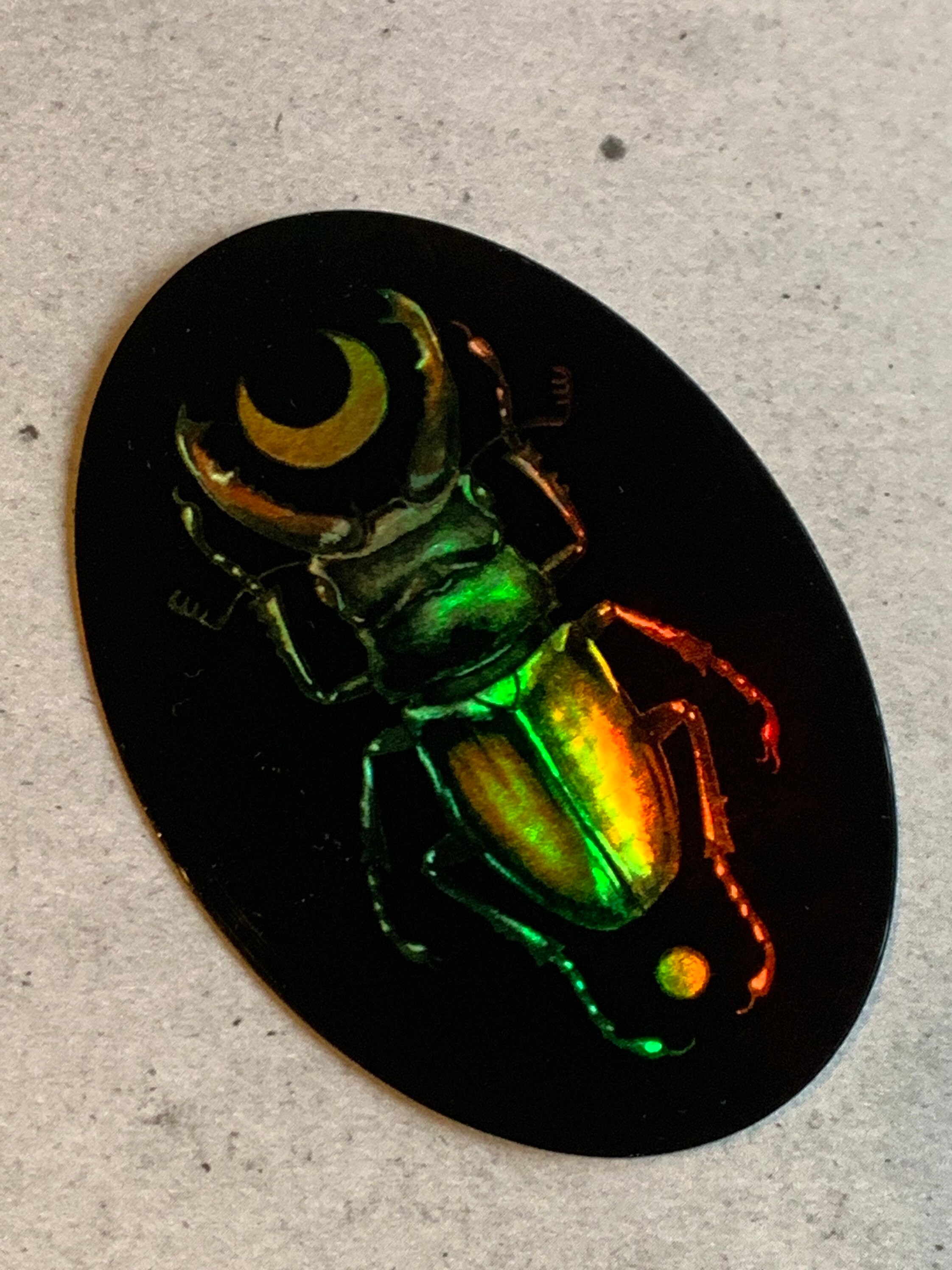 HOLOGRAPHIC Stag Beetle Vinyl Sticker - Etsy