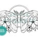 INSTANT DOWNLOAD Atlas Moth Coloring Page, Digital Download Art, Art ...