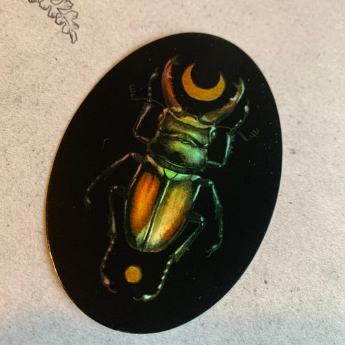 Holographic Beetle Sticker Big Vinyl Holographic Sticker - Etsy