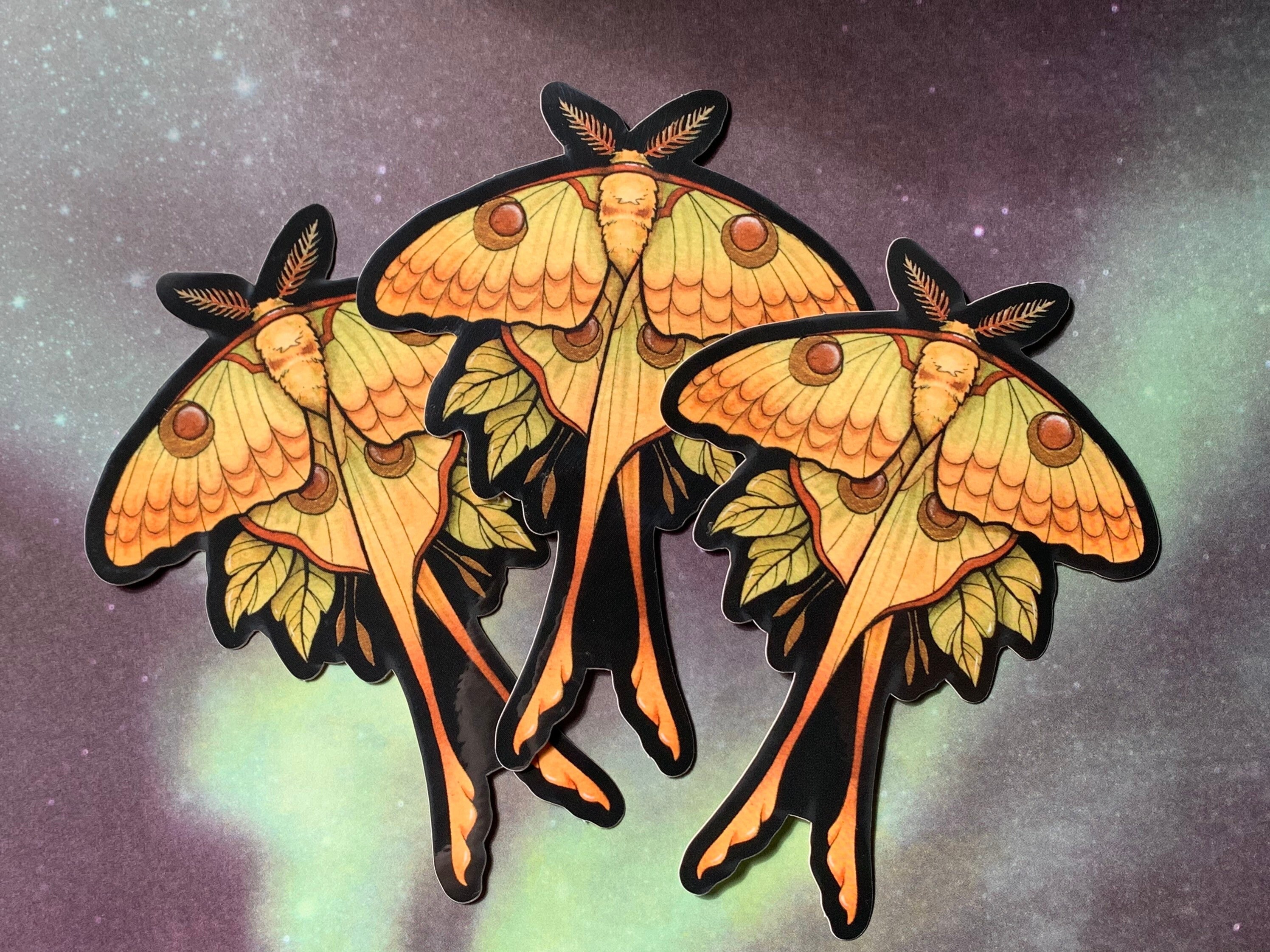 Comet Moth Glossy Vinyl Sticker Argema Mittrei Moth Sticker - Etsy
