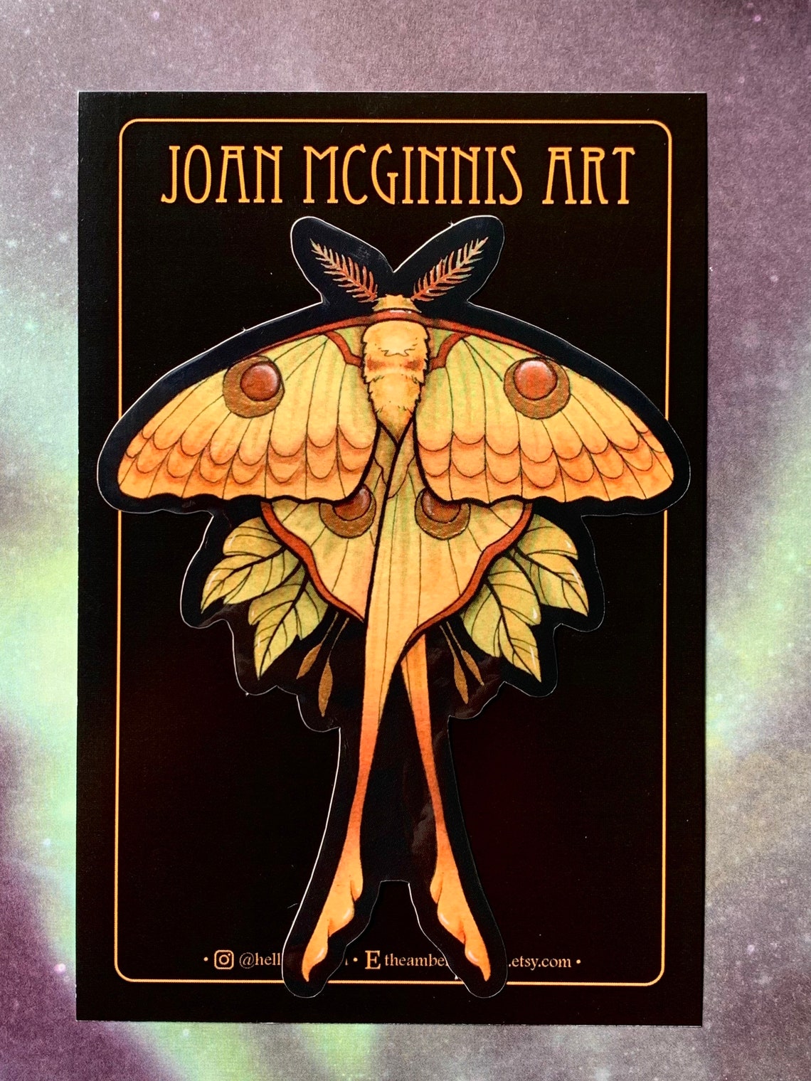 Comet Moth Glossy Vinyl Sticker Argema Mittrei Moth Sticker - Etsy