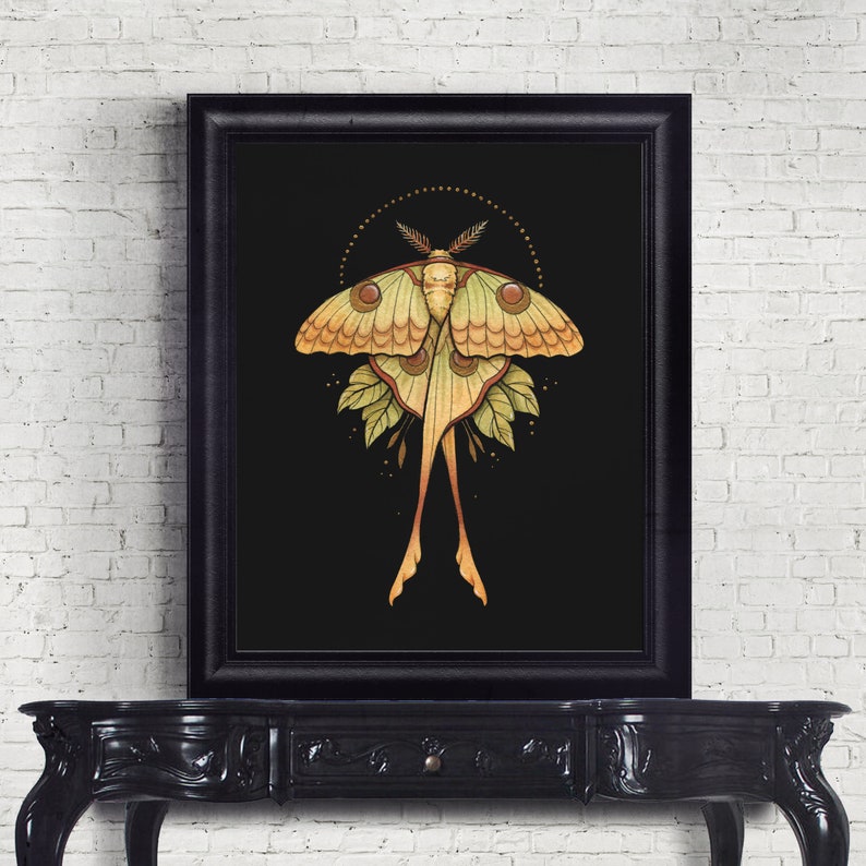 Comet Moth Watercolor Art Print 8x10 Watercolor - Etsy