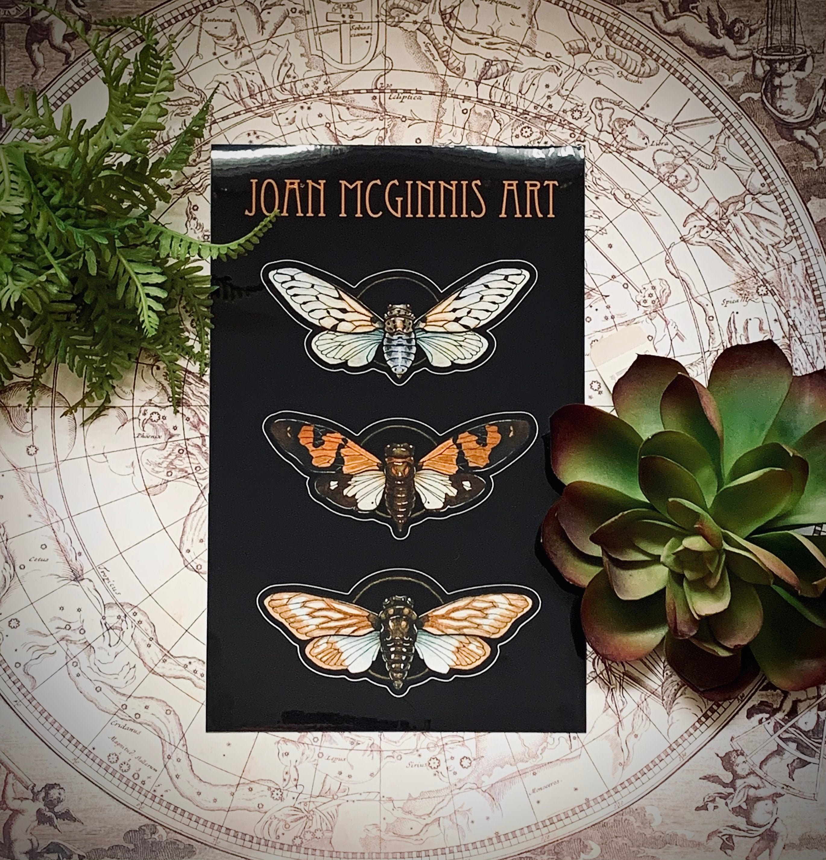 Cicada Sticker Sheet Vinyl Sticker Sheet Entomology | Etsy