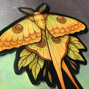 Comet Moth Glossy Vinyl Sticker, Argema Mittrei, Moth Sticker - Etsy