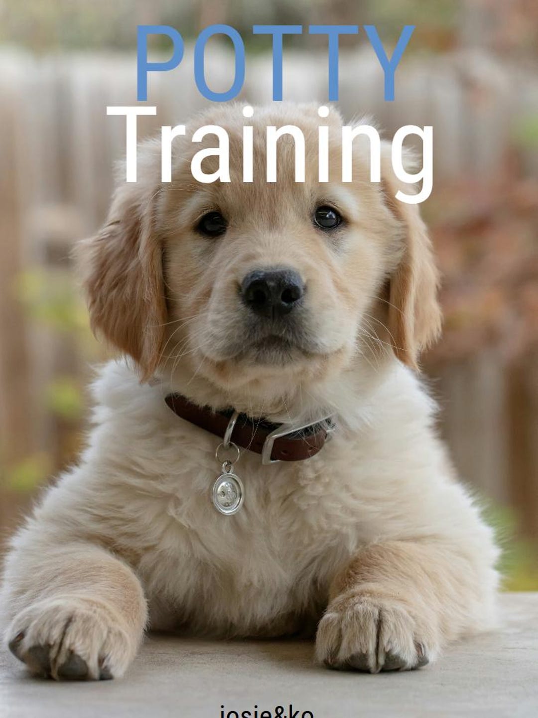 Potty Train Your Puppy in 2 Weeks Digital Guide - Etsy