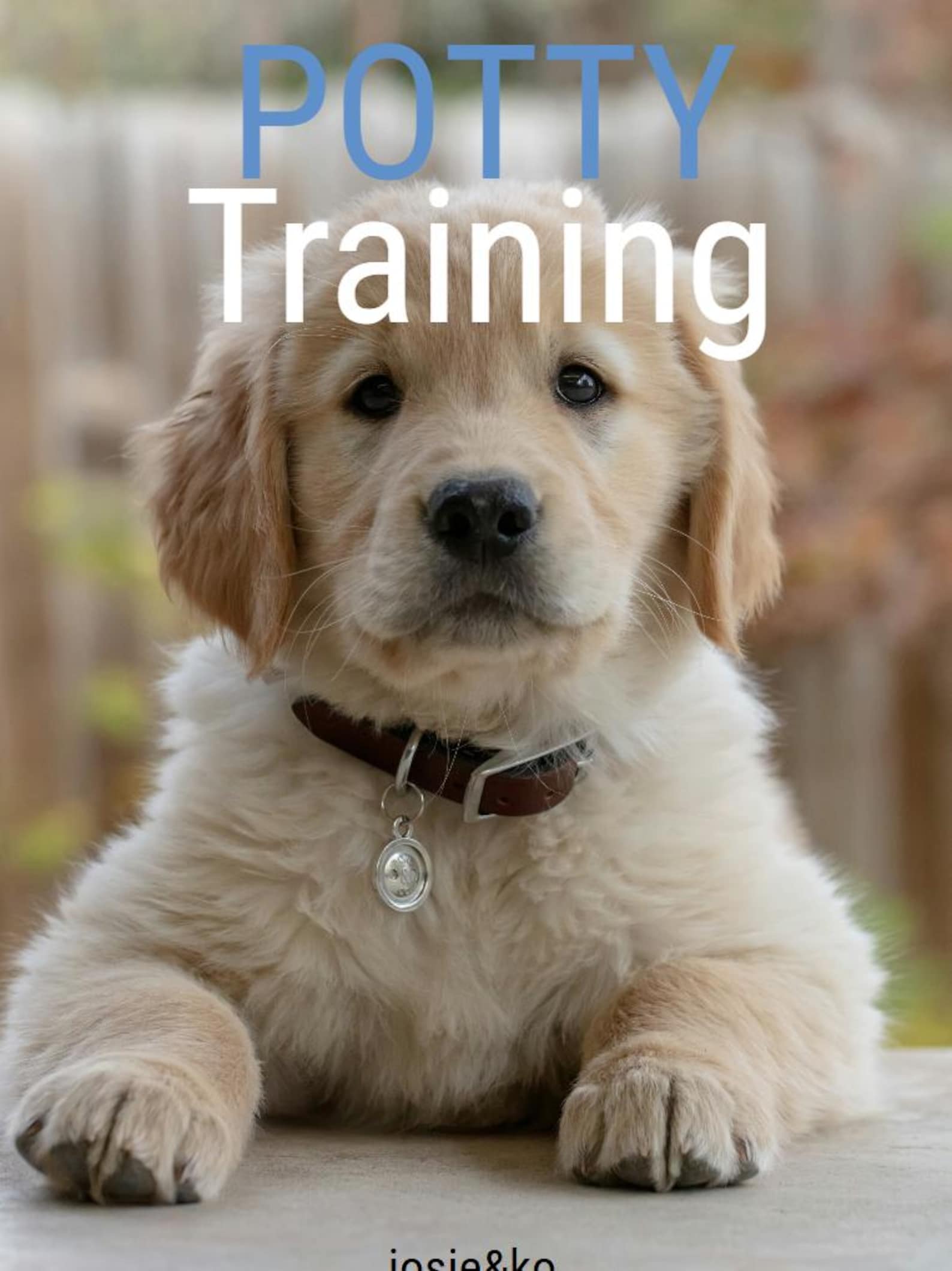Potty Train Your Puppy in 2 Weeks Digital Guide - Etsy
