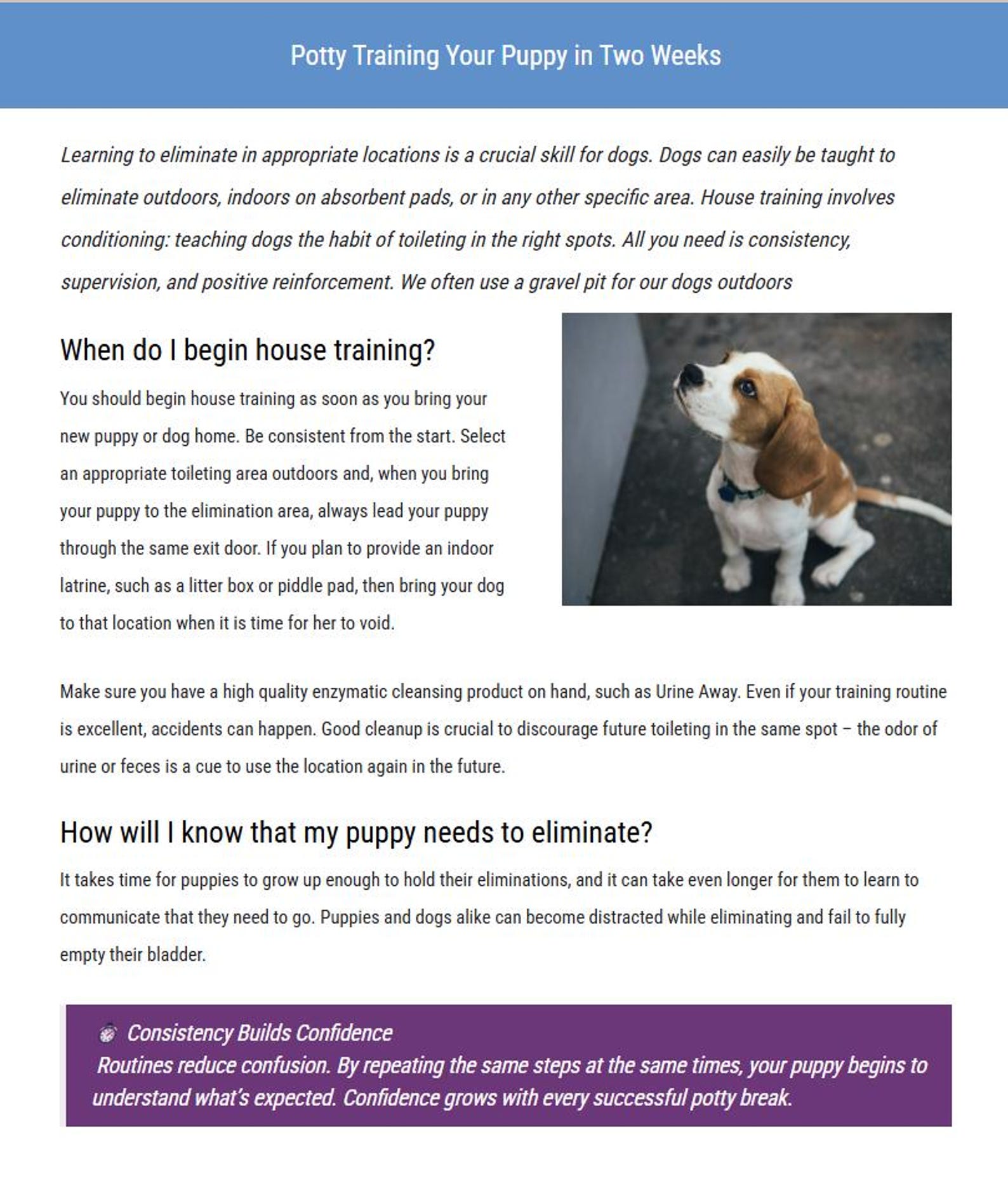 Potty Train Your Puppy in 2 Weeks Digital Guide - Etsy