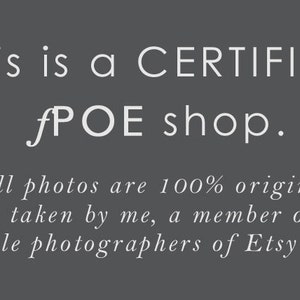 Chicago Art Print, Mint Green Clock Chicago Architecture Chicago ...