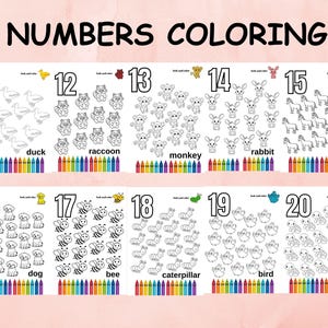 Numbers & Animals Coloring Pages: Preschool Activity (PDF) - Etsy