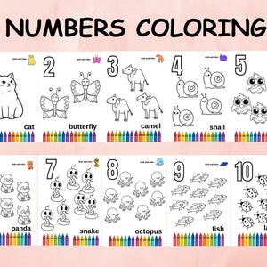 Numbers & Animals Coloring Pages: Preschool Activity (PDF) - Etsy