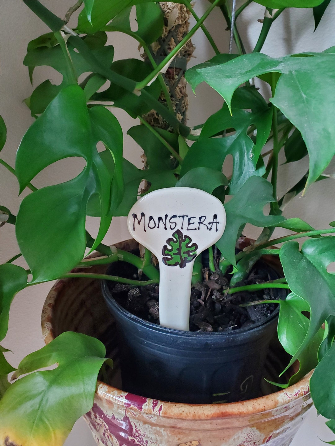 Monstera Plant Label - Etsy