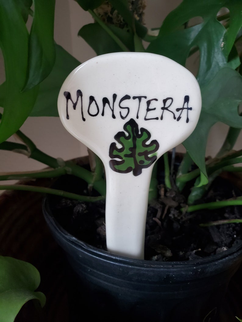 Monstera Plant Label - Etsy