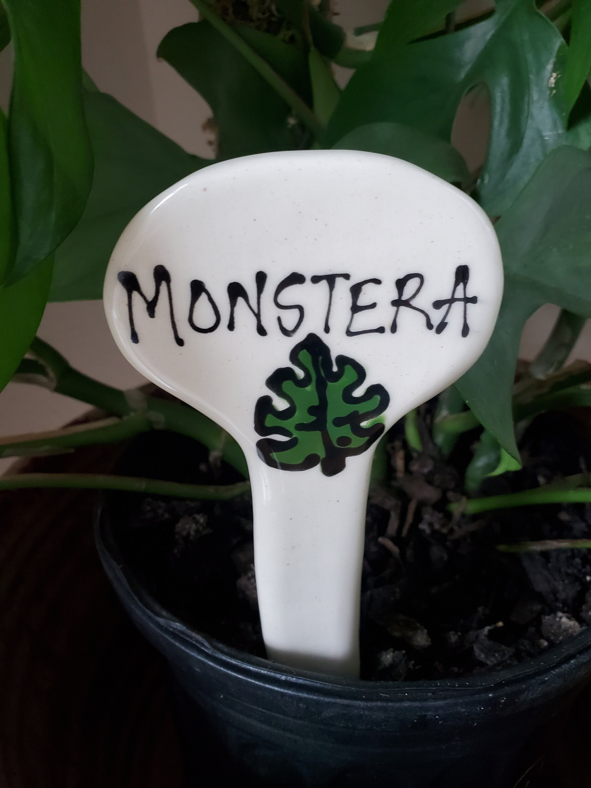 Monstera Plant Label - Etsy