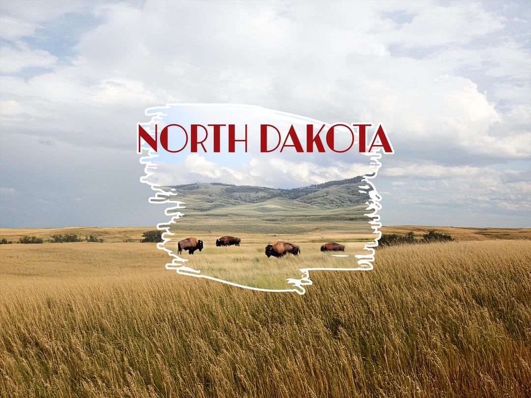 North Dakota Prairie Wall Art Printable Bison Landscape Great Plains ...