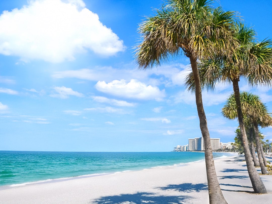 Florida Background PNG Digital Download, State Desktop Wallpaper ...