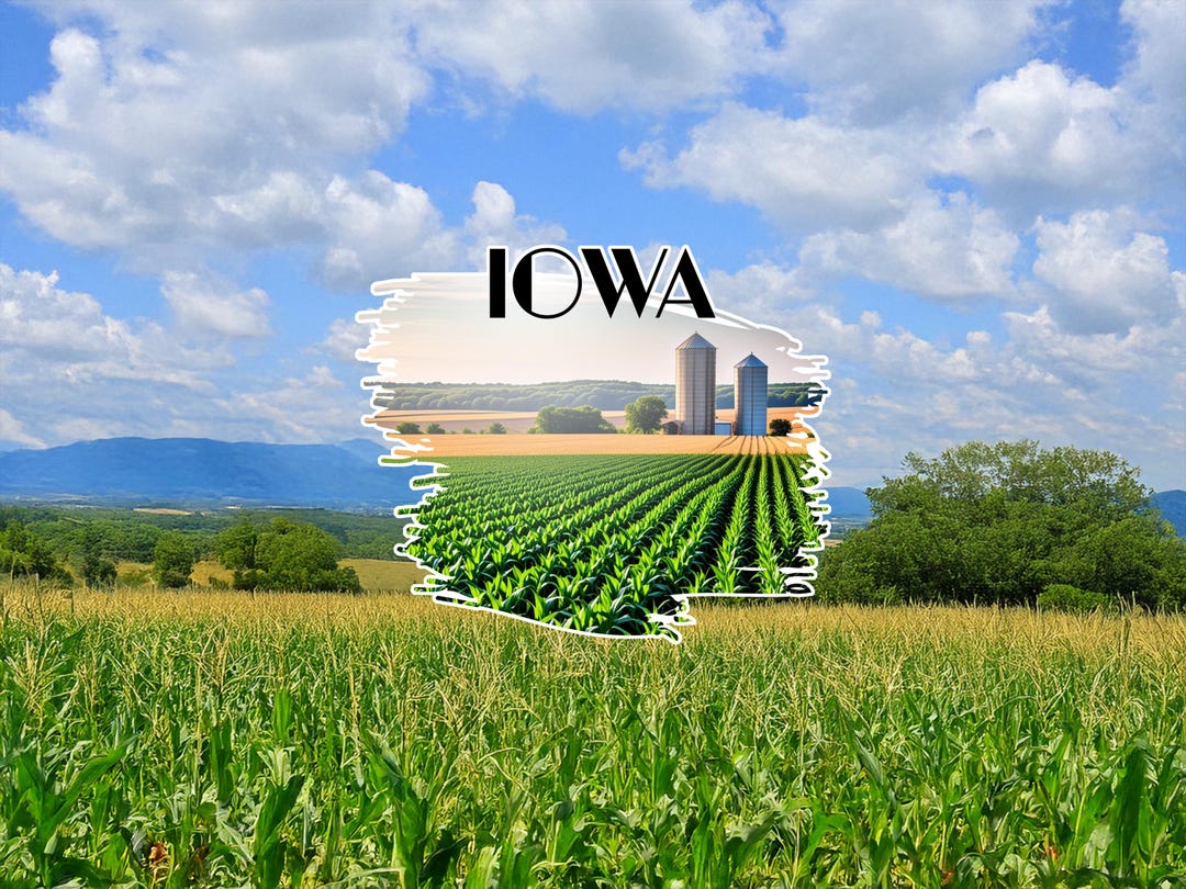 Iowa Farm Field Wall Art Printable Cornfield Landscape Rural ...