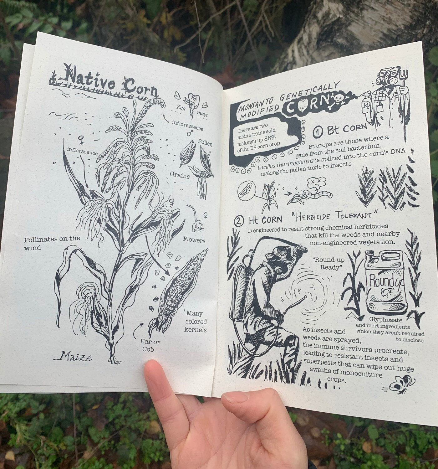 Corn Quest Comicbook - Etsy