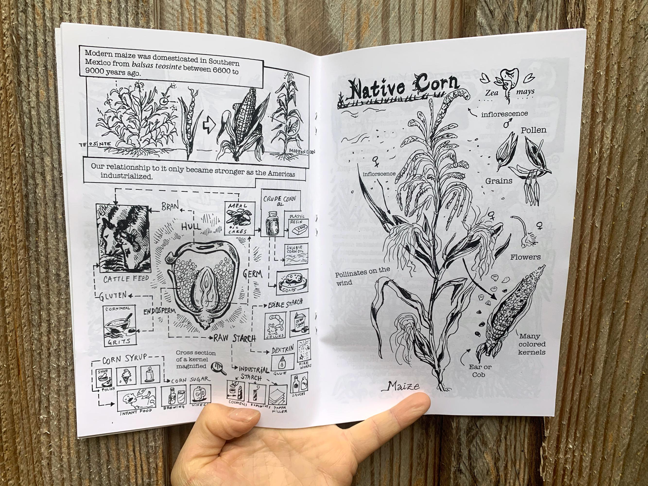 Corn Quest Comicbook - Etsy
