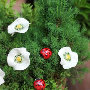 Ceramic Handmade Ladybug - Etsy