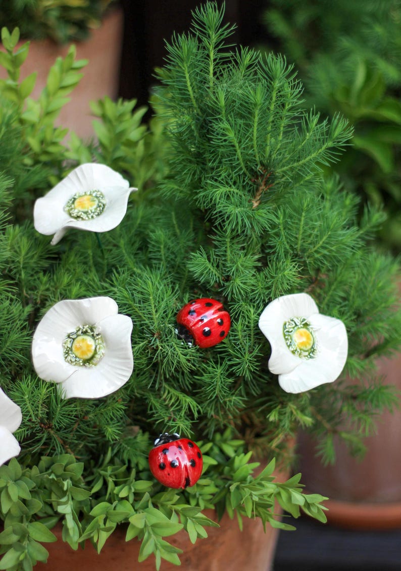 Ceramic Handmade Ladybug - Etsy