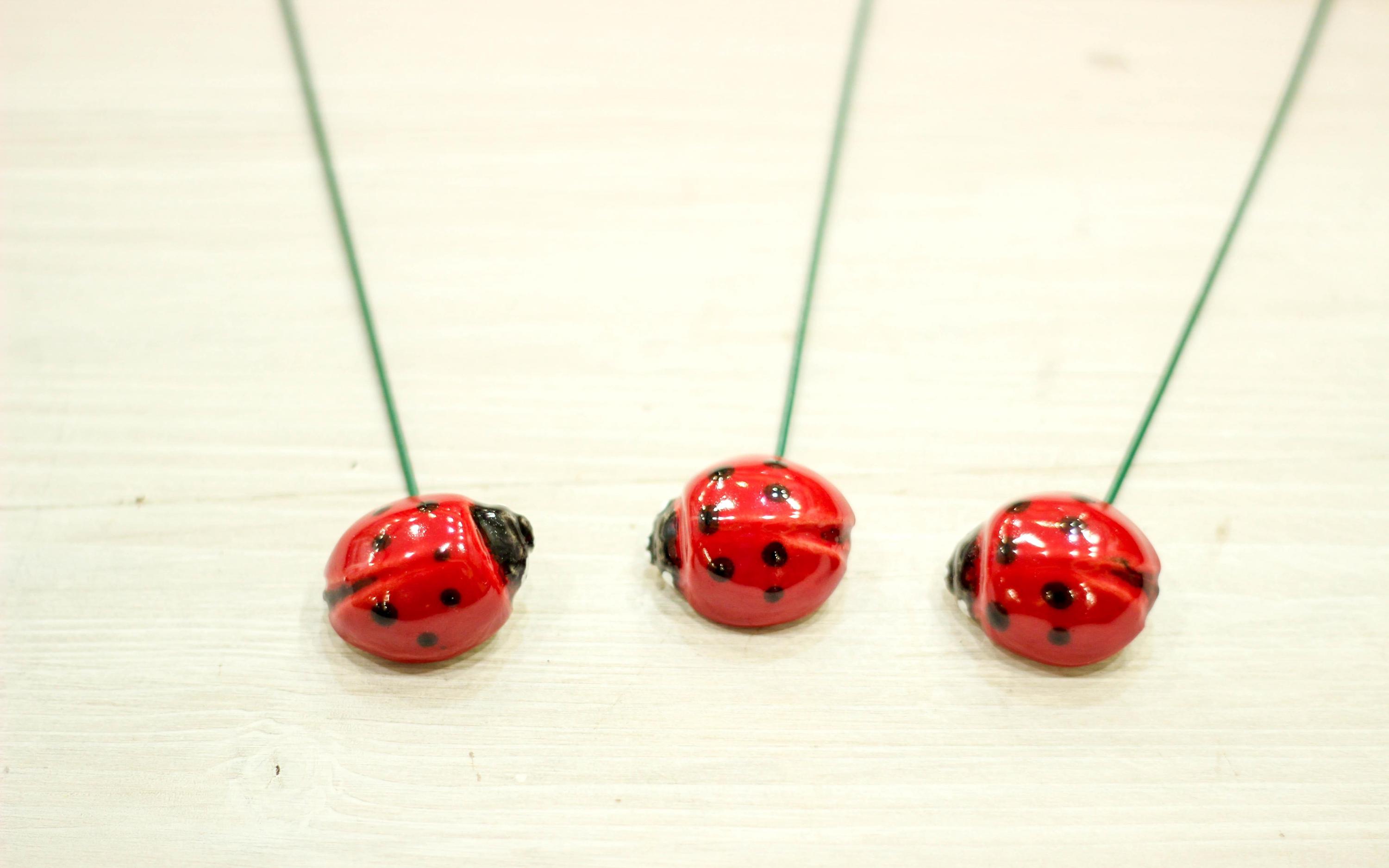 Ceramic Handmade Ladybug - Etsy