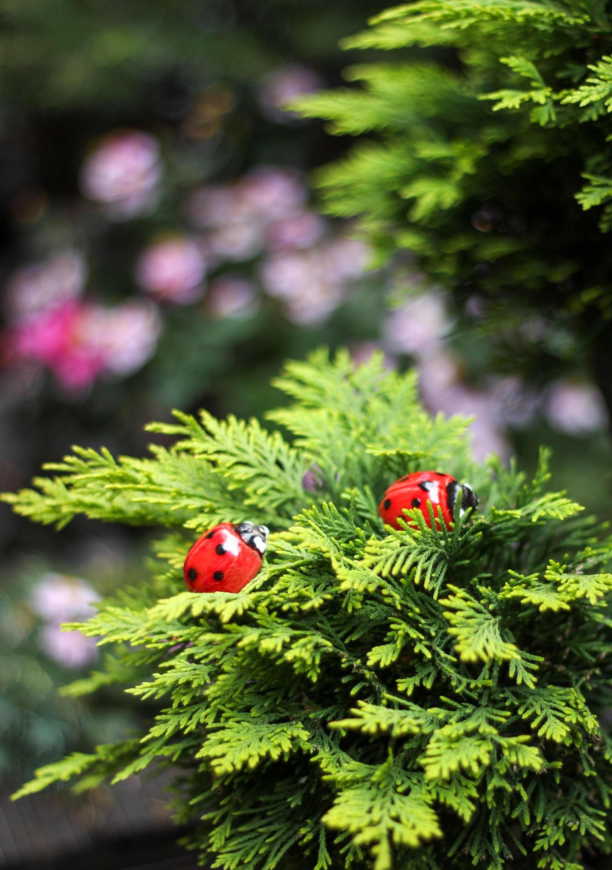 Ceramic Handmade Ladybug - Etsy