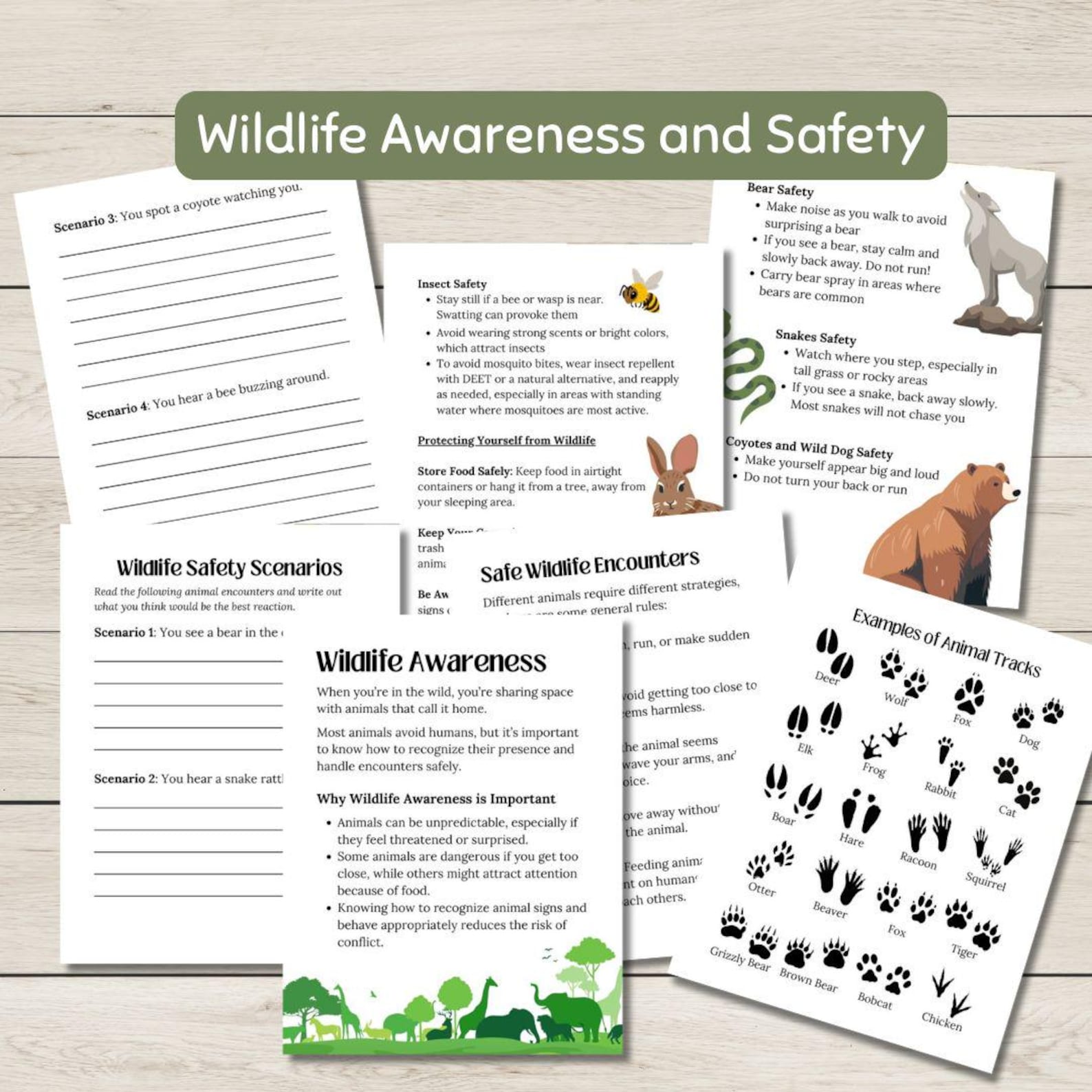 Survival Skills Unit Study for Summer Camp, Girl Scouts, Forest School ...