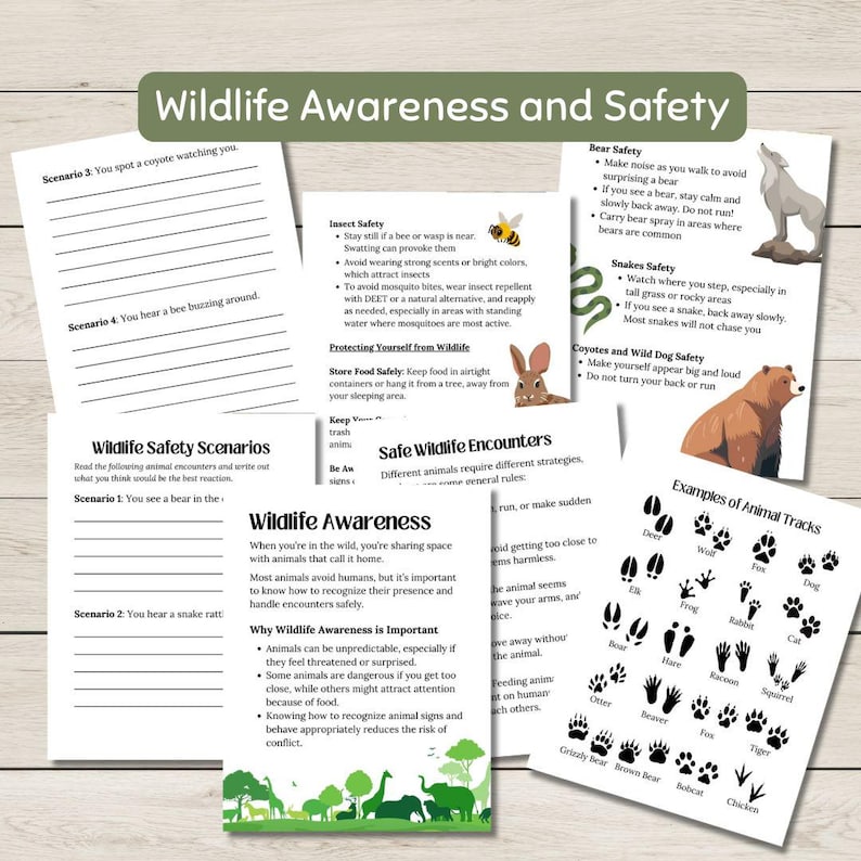 Survival Skills Unit Study for Summer Camp, Girl Scouts, Forest School ...