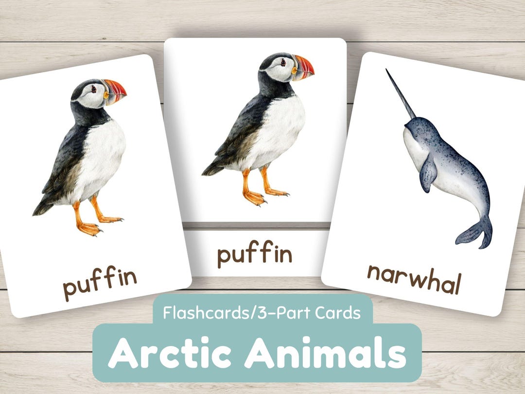 Arctic Animals Flashcards Printable Montessori 3-part Cards ...