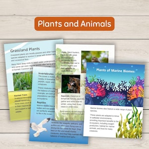 Biomes Unit Study Worksheets, Activities, With Geography and Climate ...