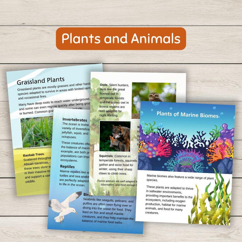 Biomes Unit Study Worksheets, Activities, With Geography and Climate ...
